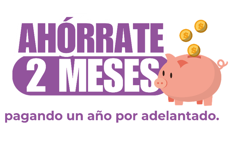 Servicios | Zooy
